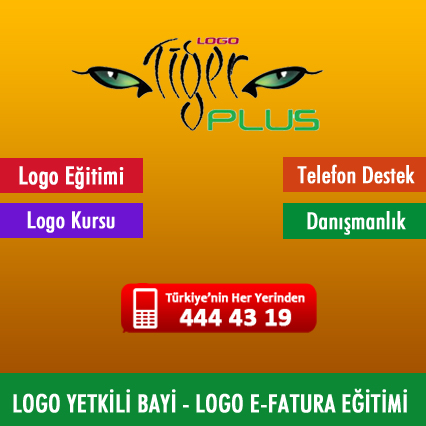 Logo Eğitimi Veren Kurumlar İstanbul - Alp Bilge